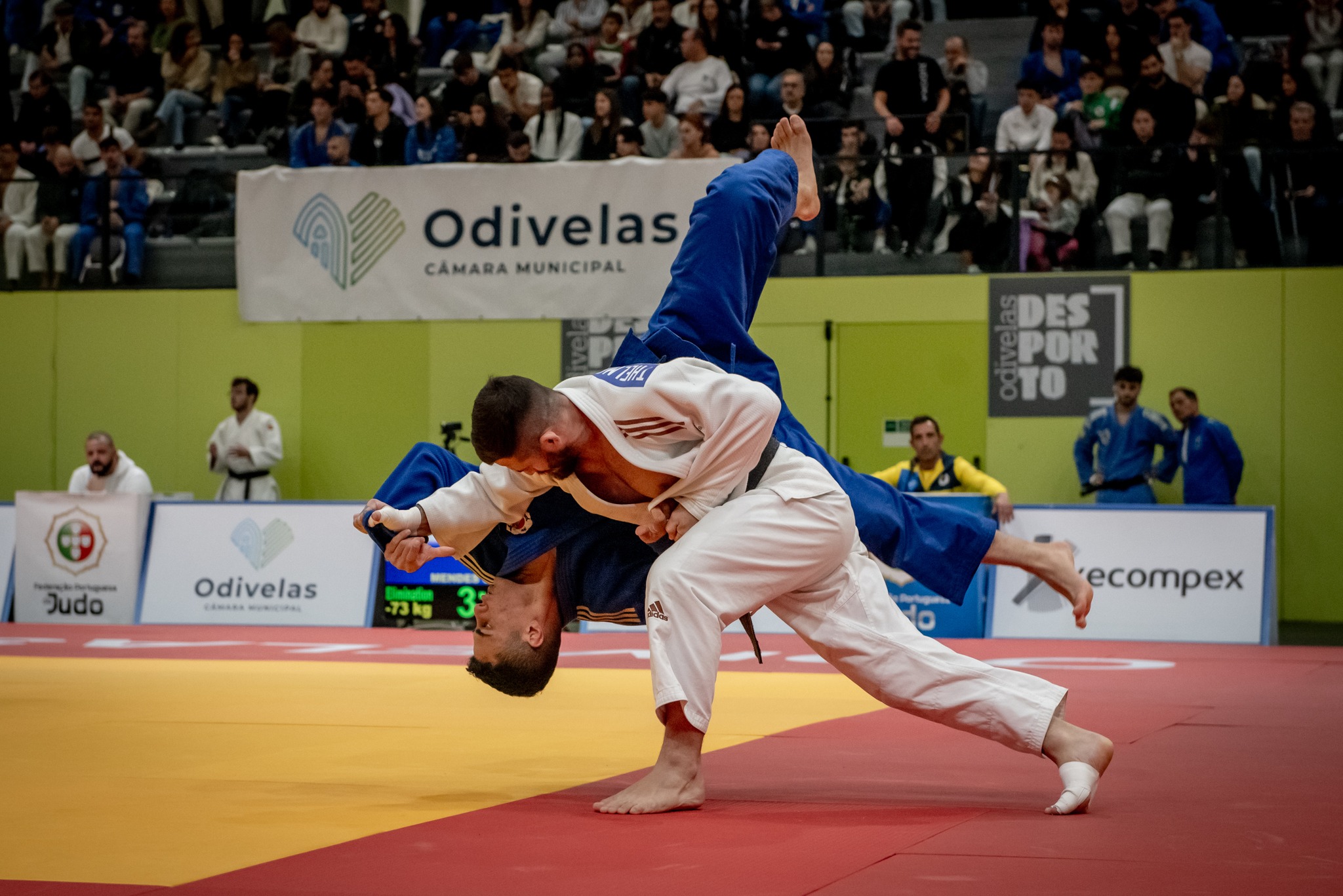 Judo: competitividade precisa-se!